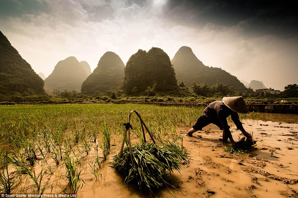 Últimos pasos hacia la erradicación de la pobreza rural | Lampadia