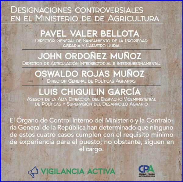 Alguien tiene que encargarse | Lampadia